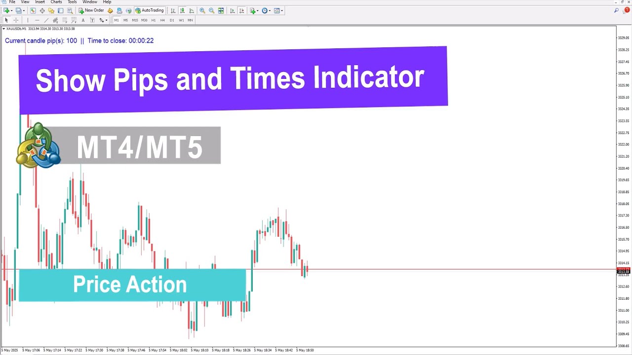 Understanding the Pip and Time Display Indicator for MetaTrader 4/5 | Galaxy.ai