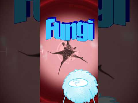 Plague Inc. Fungi are SCARILY Accurate!!