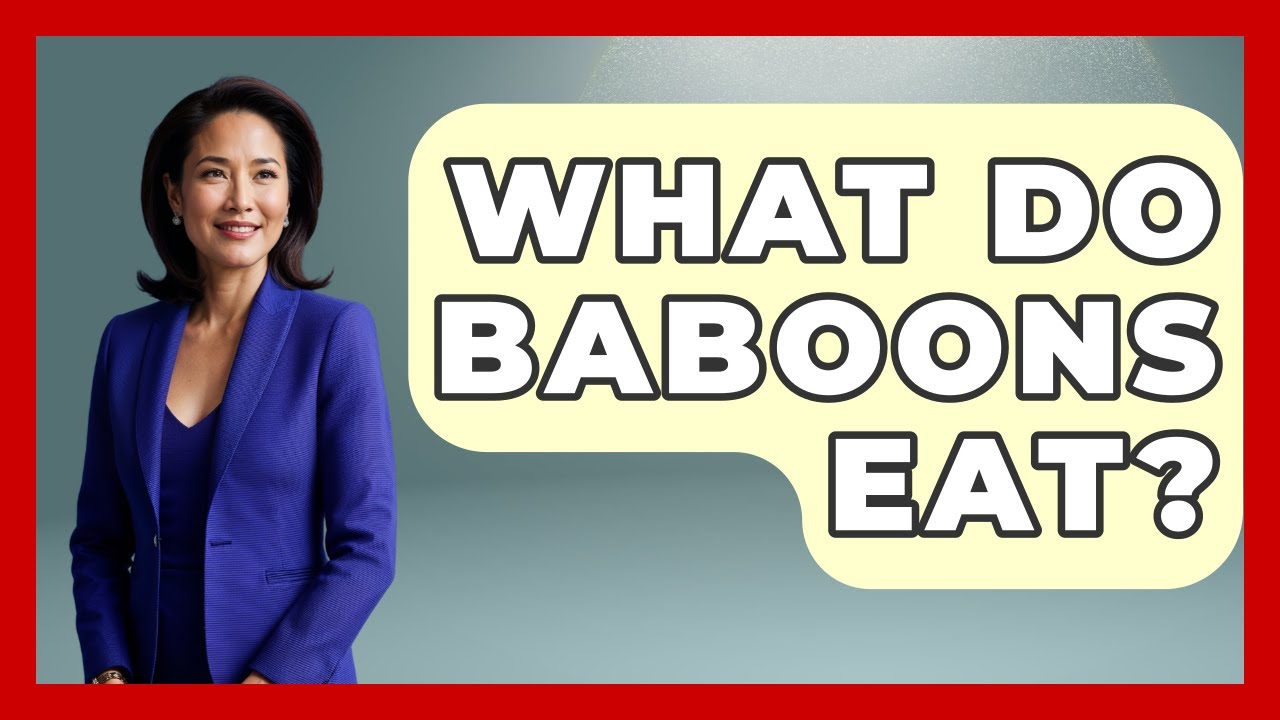 What Do Baboons Eat? - The Wild Life Explorer