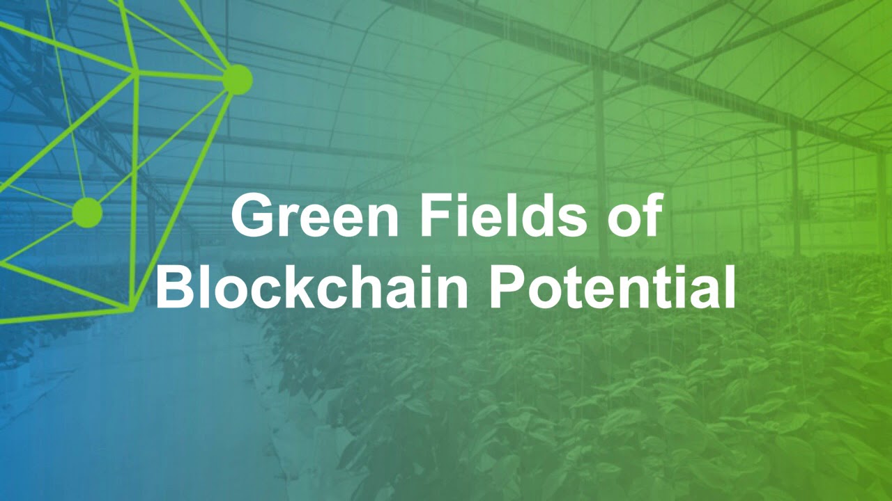 Blockchain for enterprise. But what about security?