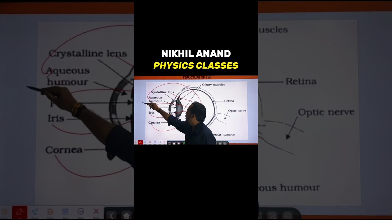 Human Eye Parts in 20 Seconds: The Secret to Remembering Them All