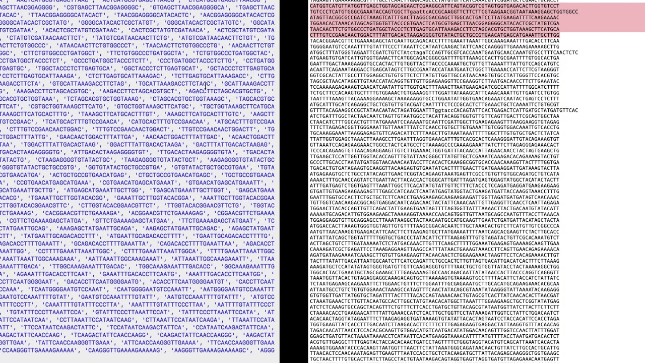 Python script for DNA analysis! Version 7_4