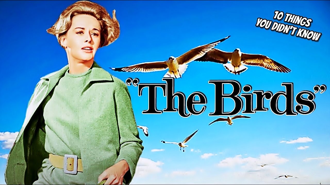 10 Things You Didn't Know About The Birds