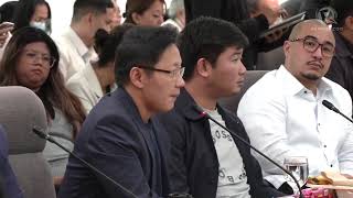 Curlee Discaya claims no direct transactions with Speaker Romualdez, Zaldy Co