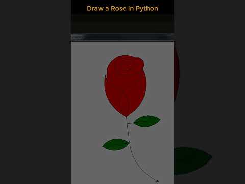 Drawing a Red Rose with Python Turtle🌹Watch now! #shorts #python