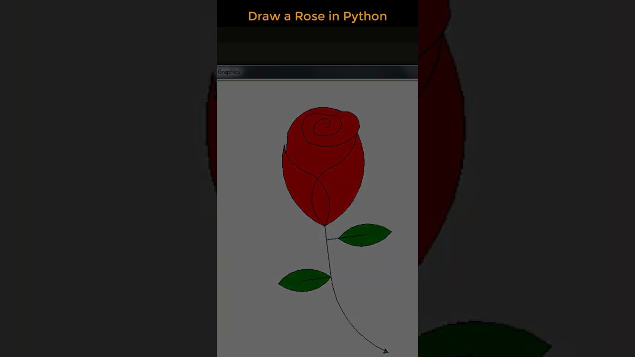 Drawing a Red Rose with Python Turtle🌹Watch now! #shorts #python