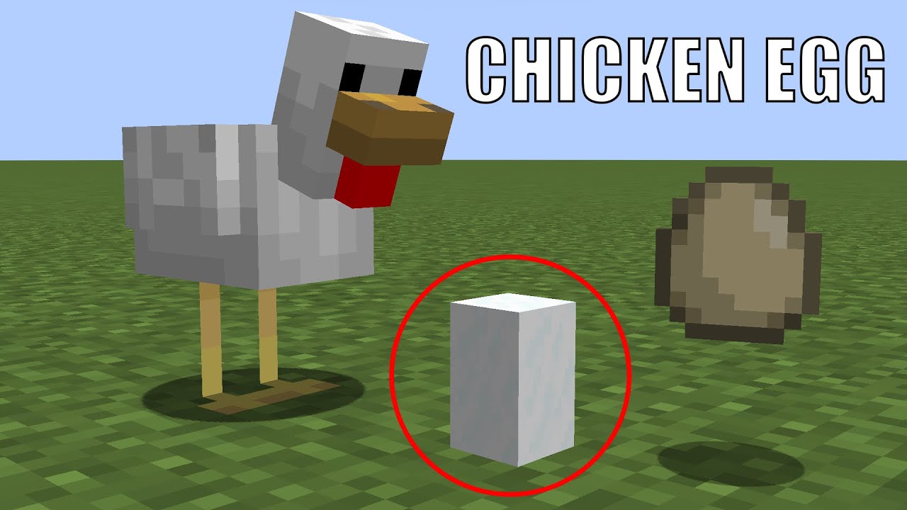 Making an Actual Chicken EGG in Minecraft with Command Blocks