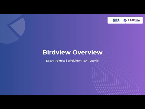 Birdview Professional Services Automation (PSA) Overview - Birdview & Easy Projects Tutorial