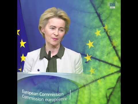 Highlights of the presentation of the European Green Deal