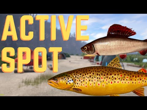 Active Belaya + Surprise Sterlet | Highlight + Spot Info | July 8, 2023