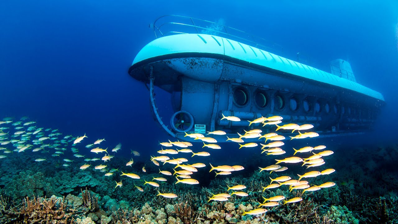 Atlantis Submarine Adventure in Oahu, Hawaii