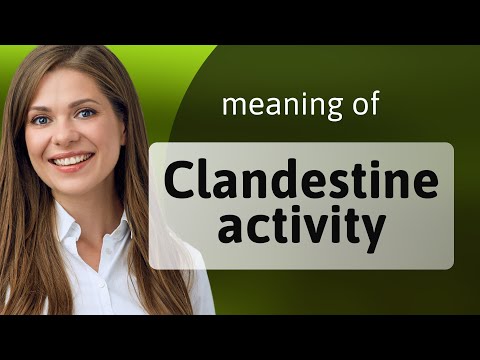 Unveiling the Shadows: The Meaning of "Clandestine Activity"