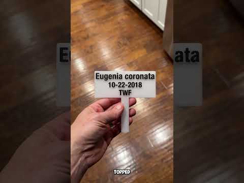 3D printed plant labels that should last for years outside. Used PETG filament. #diy #labels