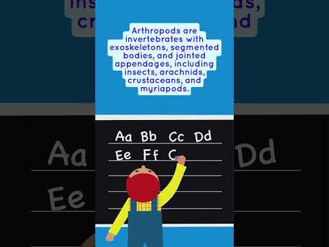 What are Arthropods?