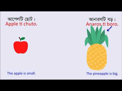 BIG and SMALL in Bengali