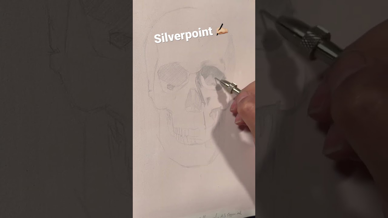 Silverpoint Skull Drawing | Study in Anatomy and Art #anatomy #skull #silverpoint #drawing