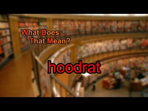 What does hoodrat mean?