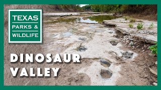 Dinosaur Valley State Park, Texas