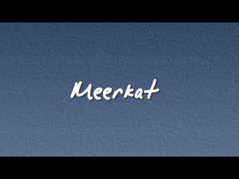 How to Pronounce " Meerkat "
