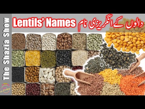 Dal Names | दाल के नाम | Pulses Name in English | Pakistani Lentils in Kitchen| دالوں کے نام