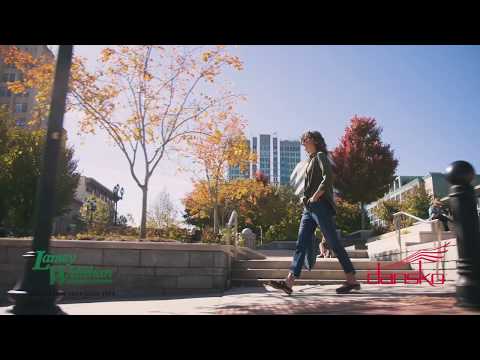 Dansko 2019 Fall Collection | Lamey Wellehan Shoes