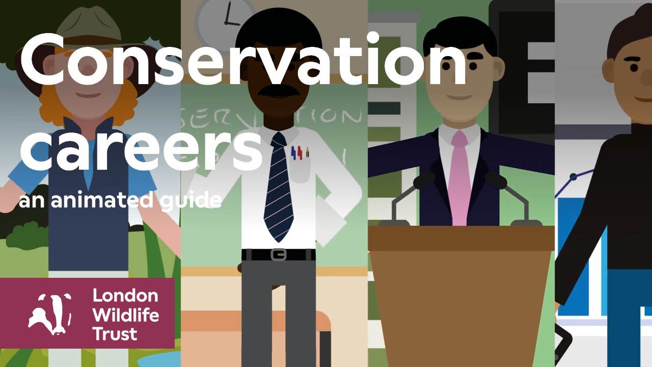 Conservation Careers - An Animated Guide