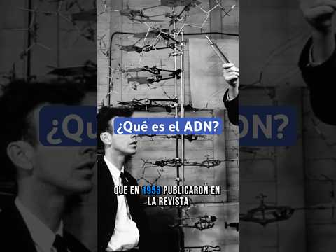 ¿Qué es el ADN? 3 Curiosidades que NO Sabías