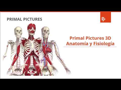 Primal Pictures - Human Anatomy and Physiology in Spanish - Quick Start Video