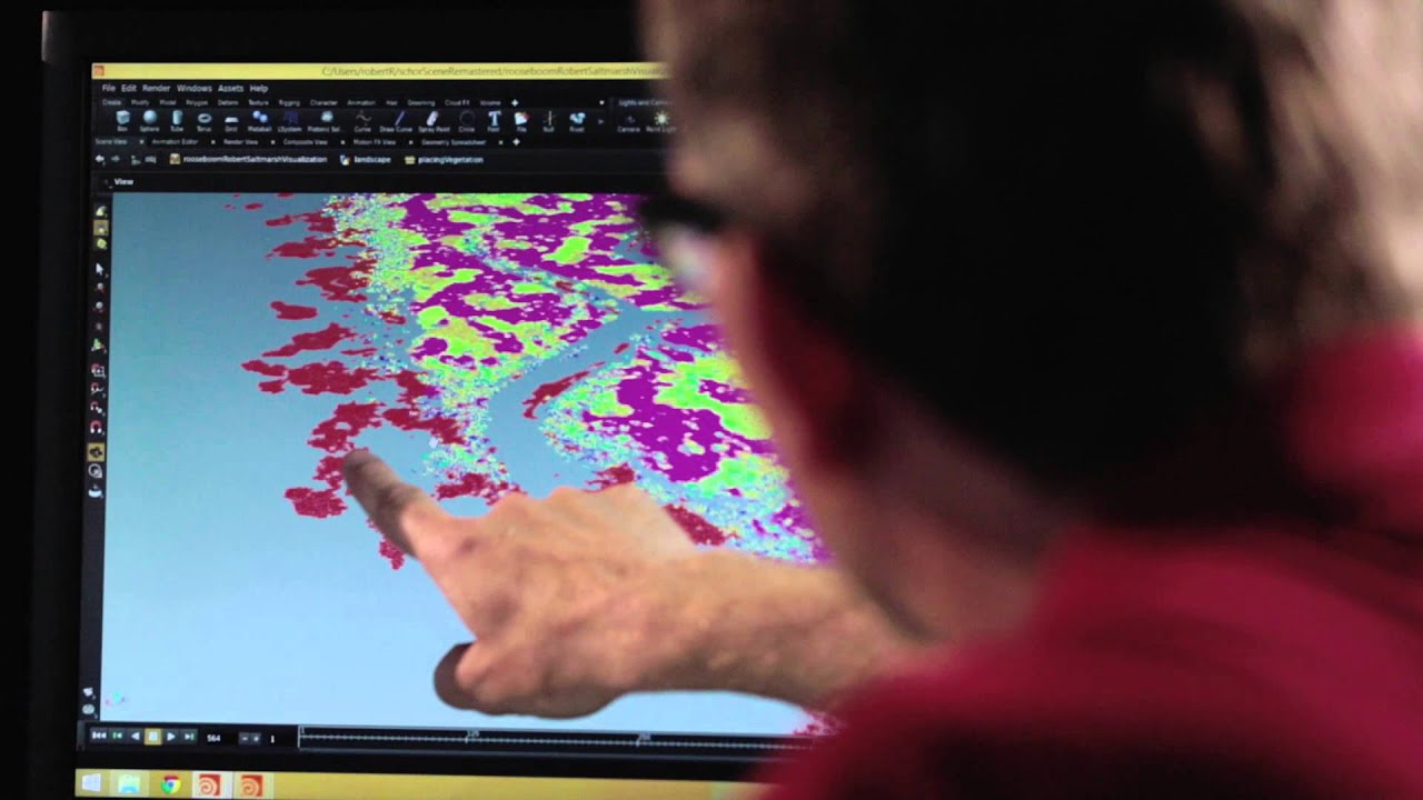 Virtual nature: the magic of visualizing scientific models -  Royal NIOZ