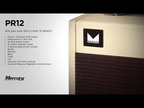 Morgan Amplification PR12 12-Watt 1x12" Guitar Combo | Reverb