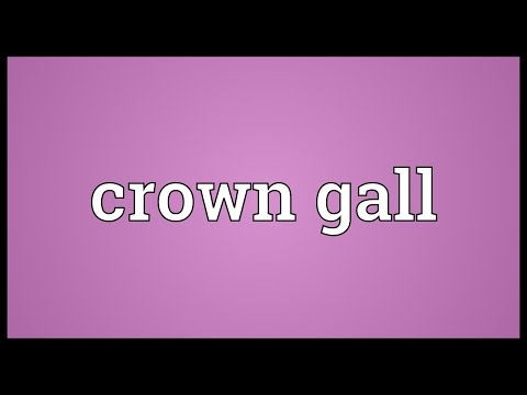 Crown gall Meaning