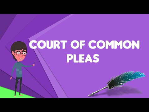 What is Court of Common Pleas (England)?, Explain Court of Common Pleas (England)