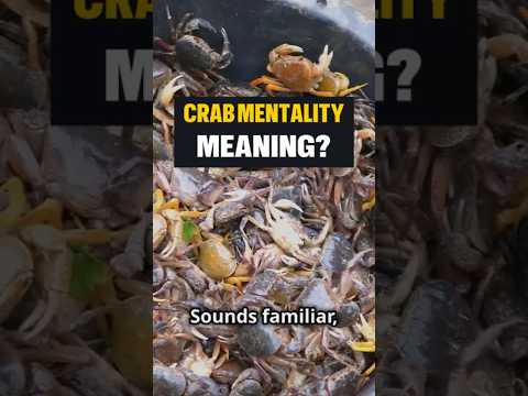 Understanding Filipino Crab Mentality Explained"