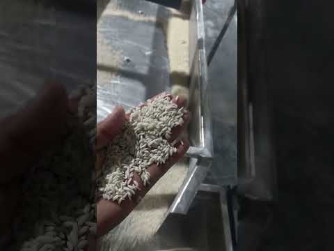 Fortified Rice kernels FRK) Manufacturer machine (1000kg/h) Rice fortification plant machine