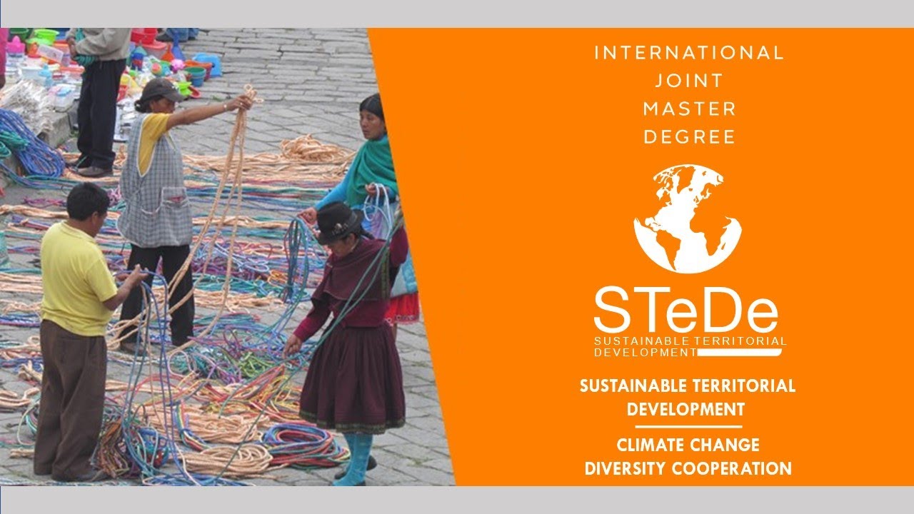 Presentation of videos on STeDe activities