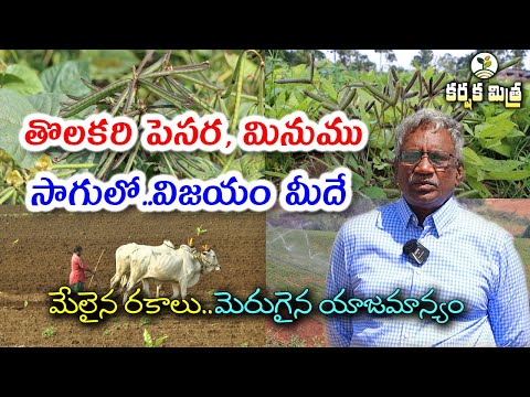 ఖరీఫ్ పెసర మినుము సాగులో విజయం మీదే|| Kharif Black gram and Green gram Cultivation || Karshaka Mitra