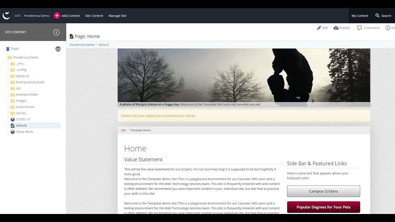 Introductory training for the Ponderosa Template in the Cascade Content Management System