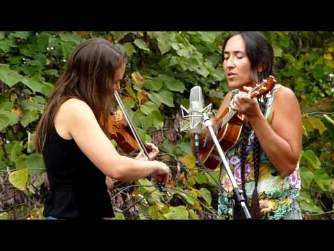 Gypsy Fiddler is blogging | gypsyfiddler