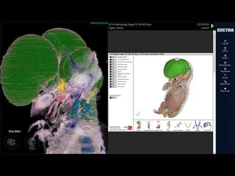 Embryology interaction – Resource Hub