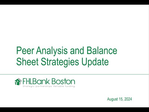 Peer Analysis and Balance Sheet Strategies August 2024 Update