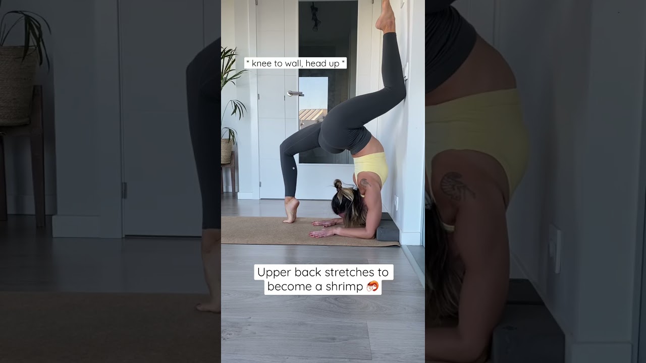 Flexibility Contortion Training: Elbow bridge Upper back stretch 🦐 #flexibilitytraining #mobility