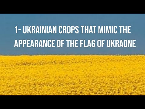 10 Fun Facts About Ukraine