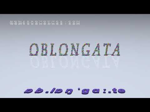 oblongata - pronunciation