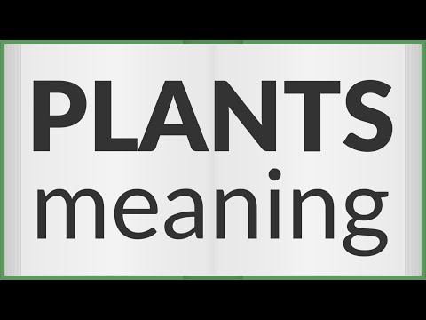Plants | meaning of Plants
