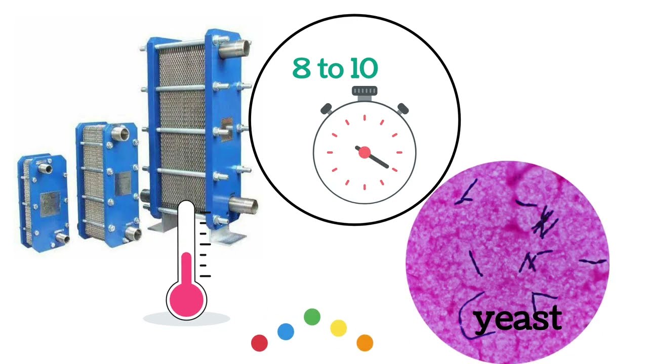 fermentation #by the biotech