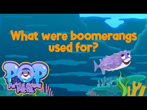 POP: What were boomerangs used for? | kids science and HASS education
