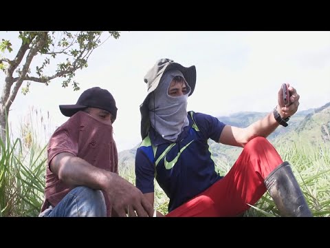 Colombia: La nueva Guerra por la Cocaína