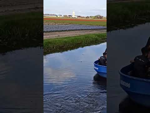 #keukenhof #tulip #boating #boatrides #tulipfields #canal #lisse #flowergarden #netherlands