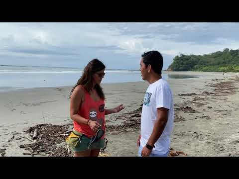 Why do Costa Ricans always say Pura Vida?