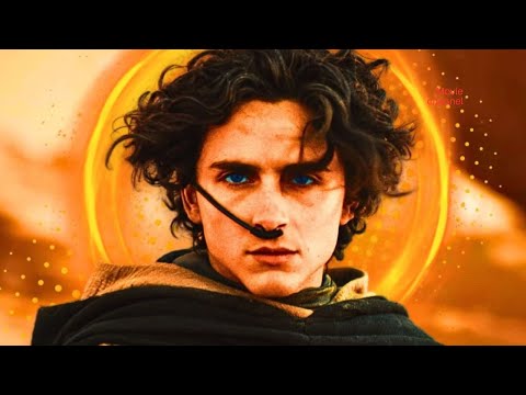 Top Five Movies of 2024
